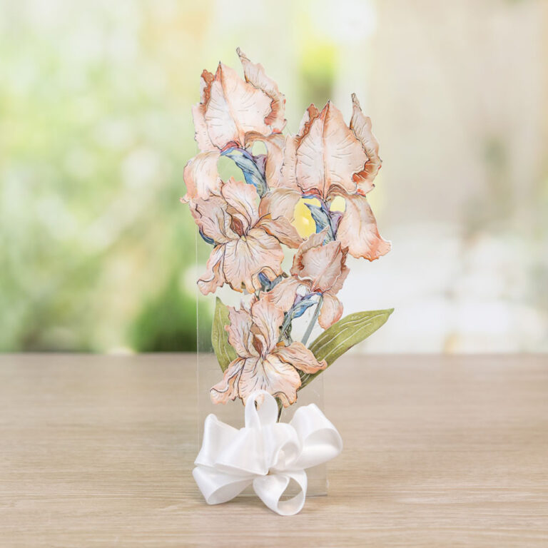 Two Red Robins Flower of the Month Iris Trio Collection - Highlight Crafts