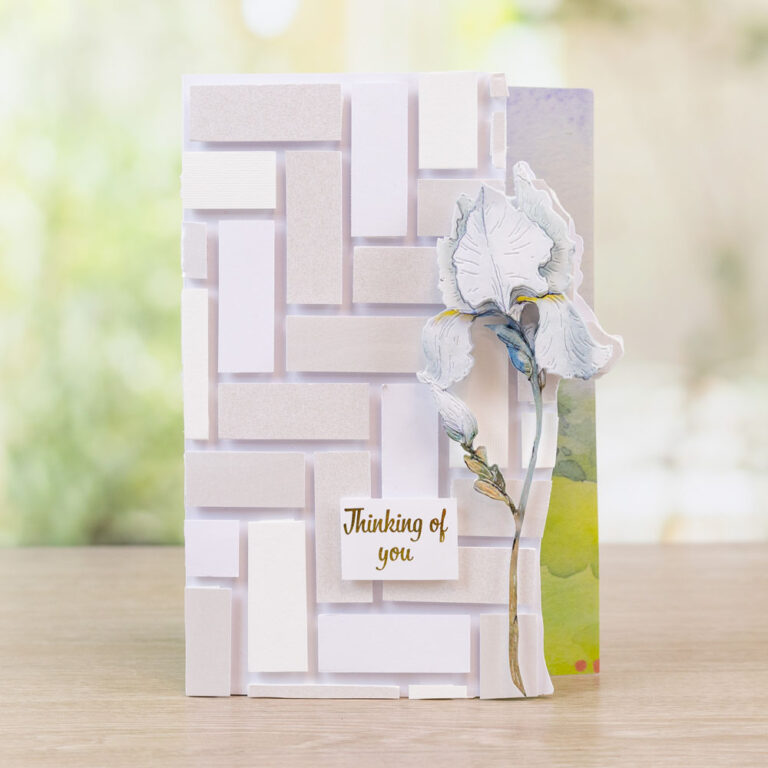 Two Red Robins Flower of the Month Iris Trio Collection - Highlight Crafts
