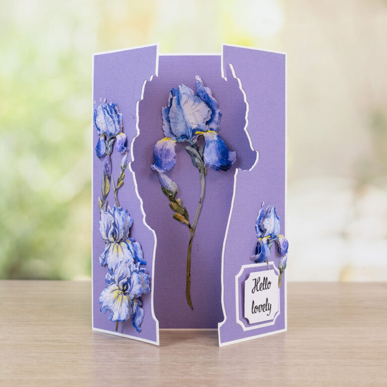 Two Red Robins Flower of the Month Iris Trio Collection - Highlight Crafts