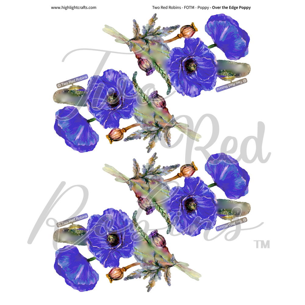 Two Red Robins Over the Edge Poppy Reflections Download 06 - Highlight ...