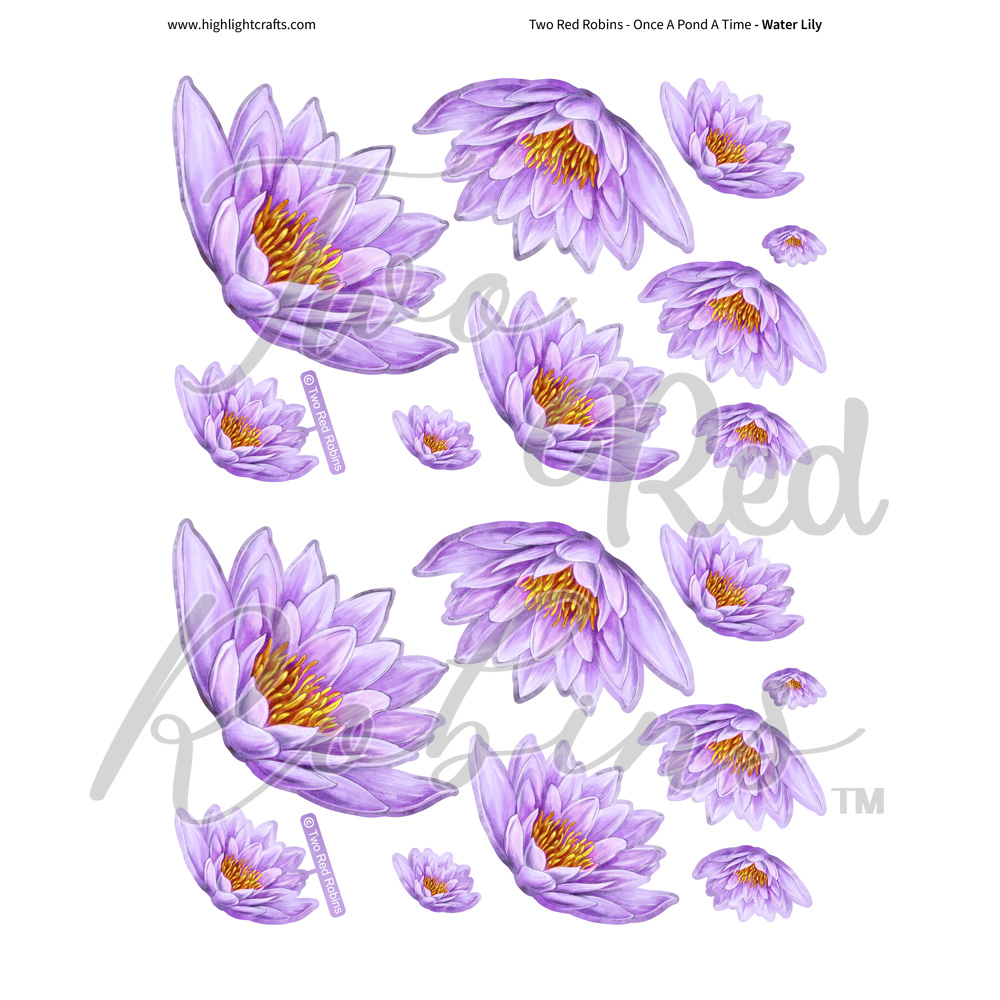 Two Red Robins Water Lily Reflections Download 3 - Highlight Crafts