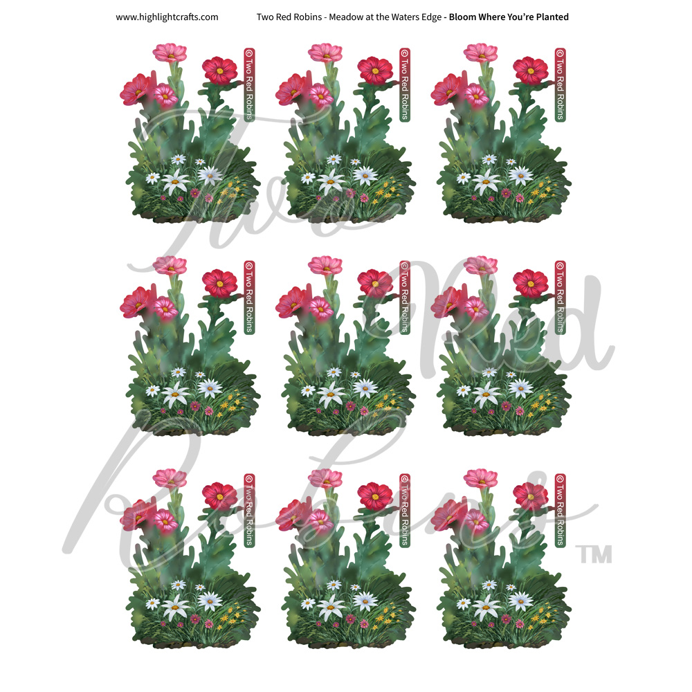 Two Red Robins Bloom Where You're Planted Reflections Download 1 ...
