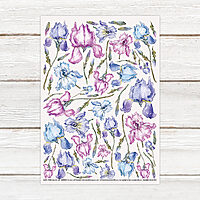 Pearlywinks All You Need is Medium Dogs Luxe Decal Sheet - Highlight Crafts