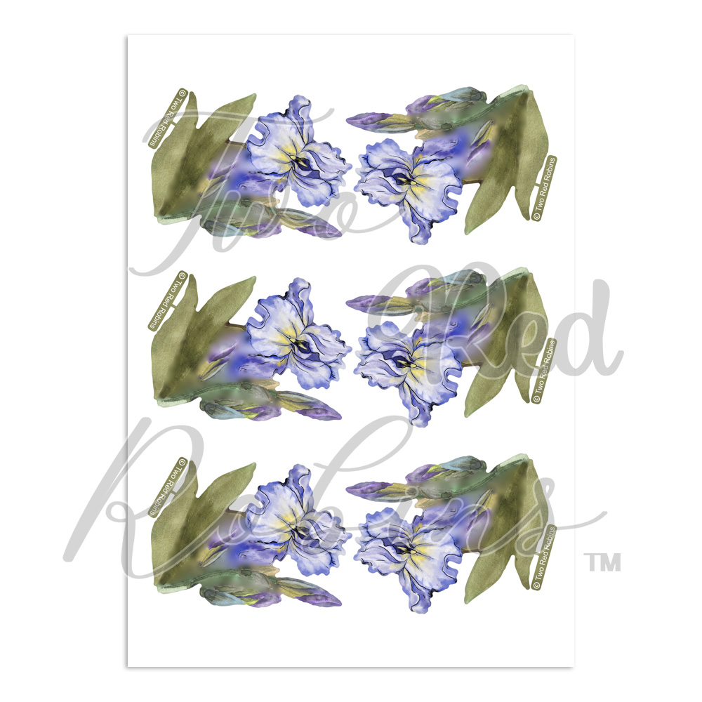 Two Red Robins Build A Bouquet Iris Reflections Printed Sheet 1 ...