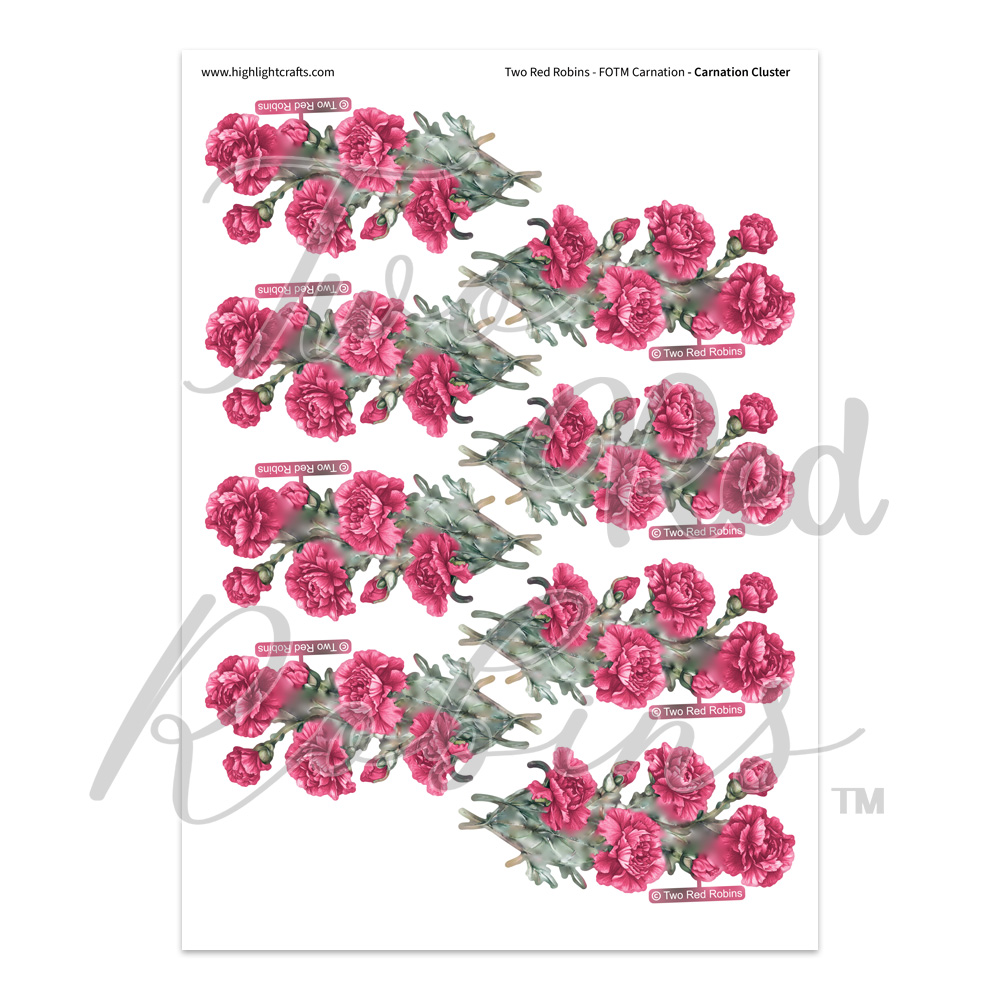 Two Red Robins Carnation Cluster Reflections Printed Sheet 2 ...