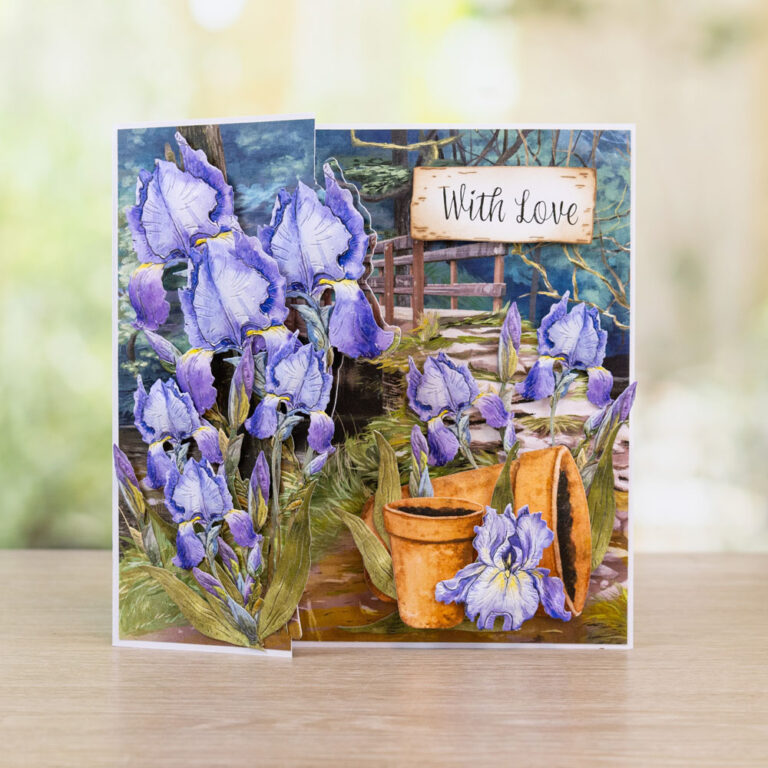 Two Red Robins Indigo Iris Die Set - Highlight Crafts