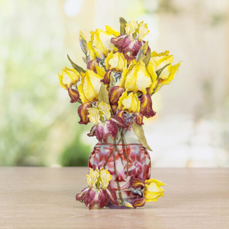 Two Red Robins Vase Fundamentals Die Set - Highlight Crafts